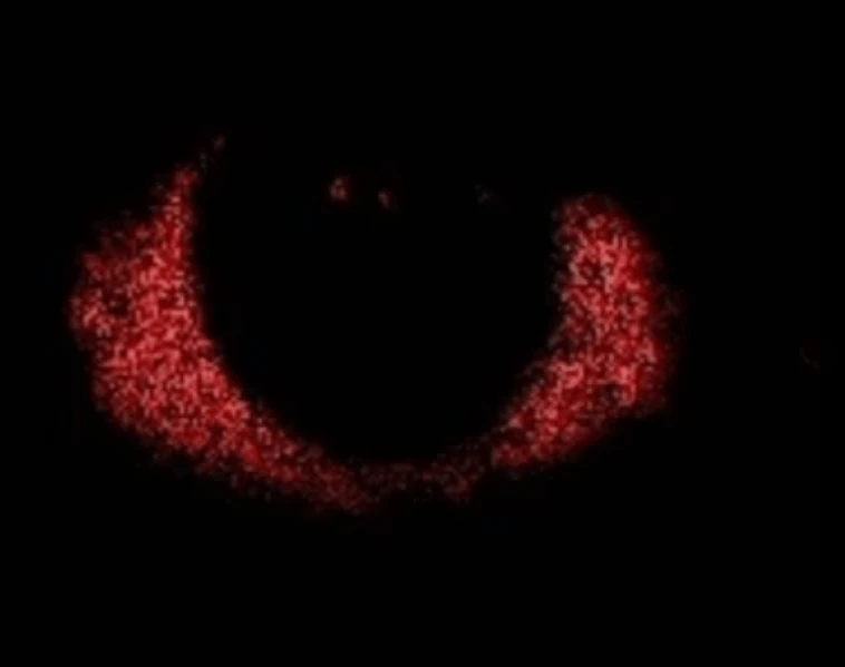 Phase 41 (TheRealL.D) | The Uncanny Incredible Wiki | Fandom