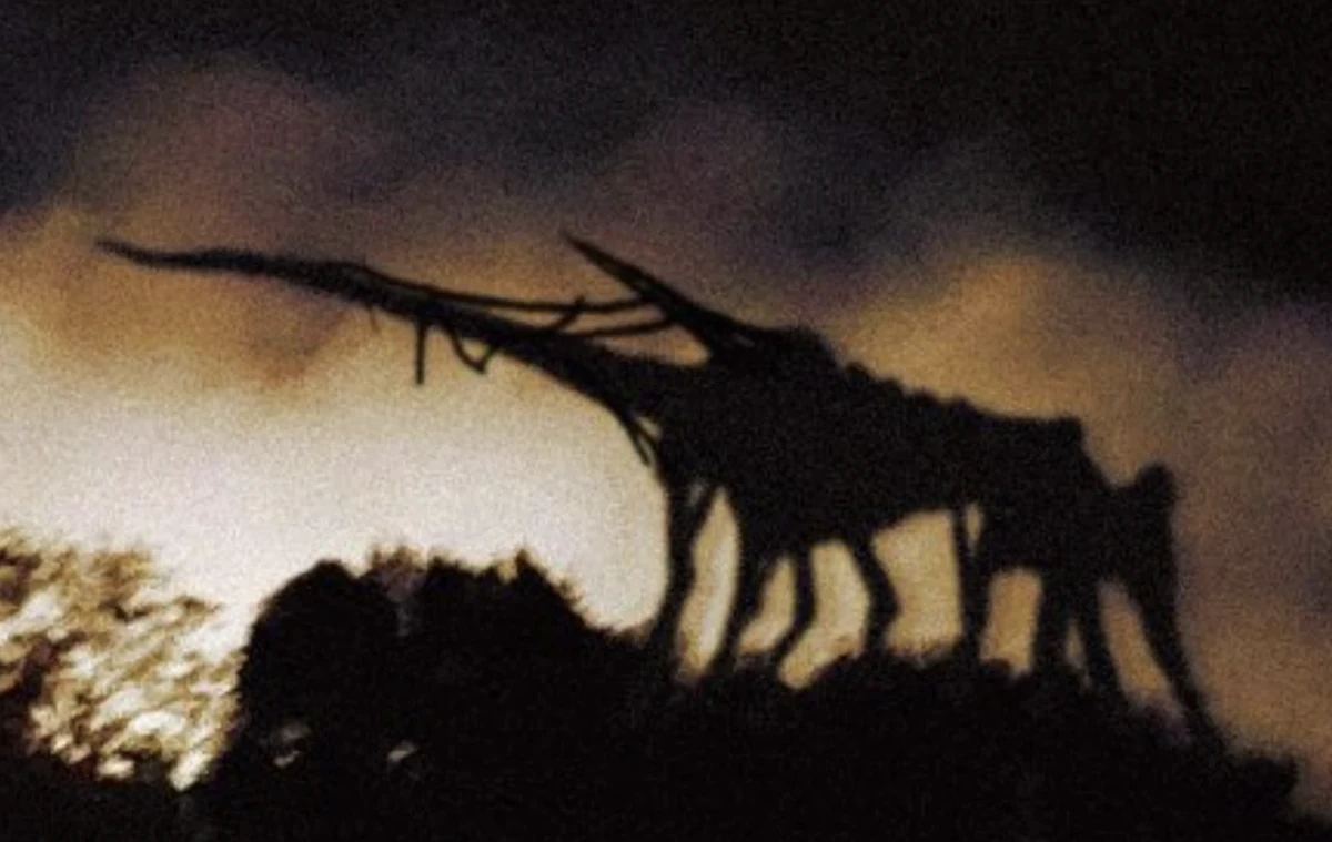 Phase 106 (Strange Matter) | The Uncanny Incredible Wiki | Fandom