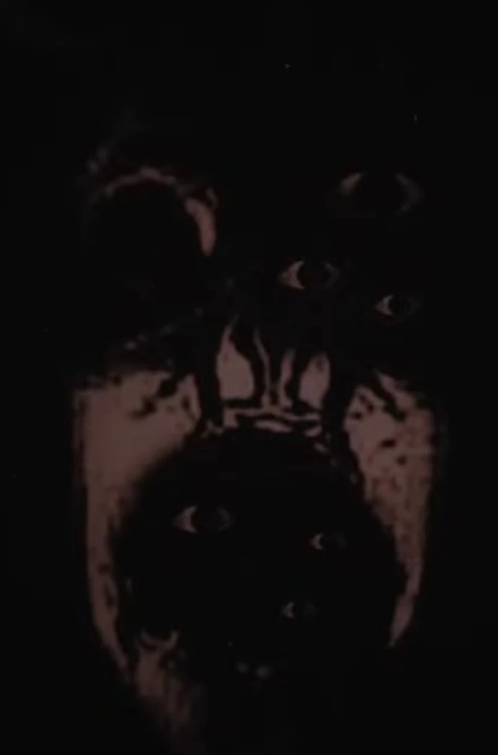 Phase 186 (KunaProductions) | The Uncanny Incredible Wiki | Fandom