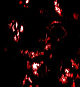 Phase 168 (The CJ Planets) | The Uncanny Incredible Wiki | Fandom