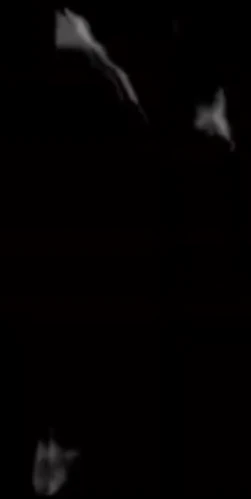 Phase 239 (DisturbingUncanny) | The Uncanny Incredible Wiki | Fandom