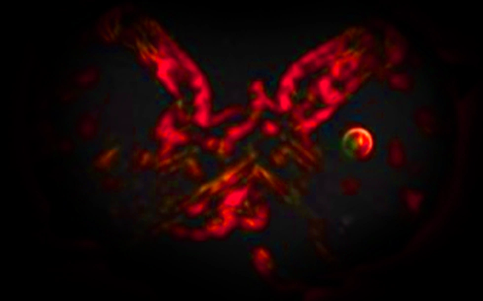 Phase 243 (MIBU 250 Phases) | The Uncanny Incredible Wiki | Fandom