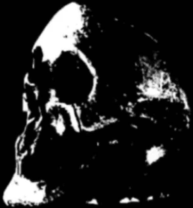 Phase 19 (maximolucasyt) | The Uncanny Incredible Wiki | Fandom