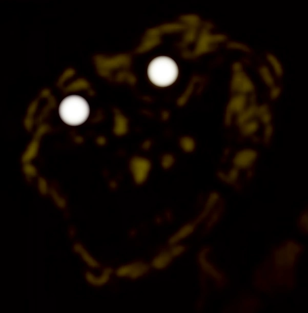 Phase 380 (MIBU Fan 2008) | The Uncanny Incredible Wiki | Fandom