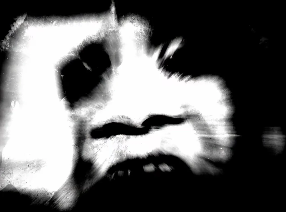 Phase 249 (CYFAN5047) | The Uncanny Incredible Wiki | Fandom