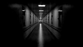 Phase 31000 (Vinnie) | The Uncanny Incredible Wiki | Fandom