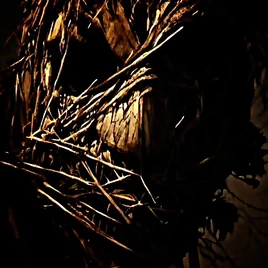 Phase 90 (The CJ Planets) | The Uncanny Incredible Wiki | Fandom