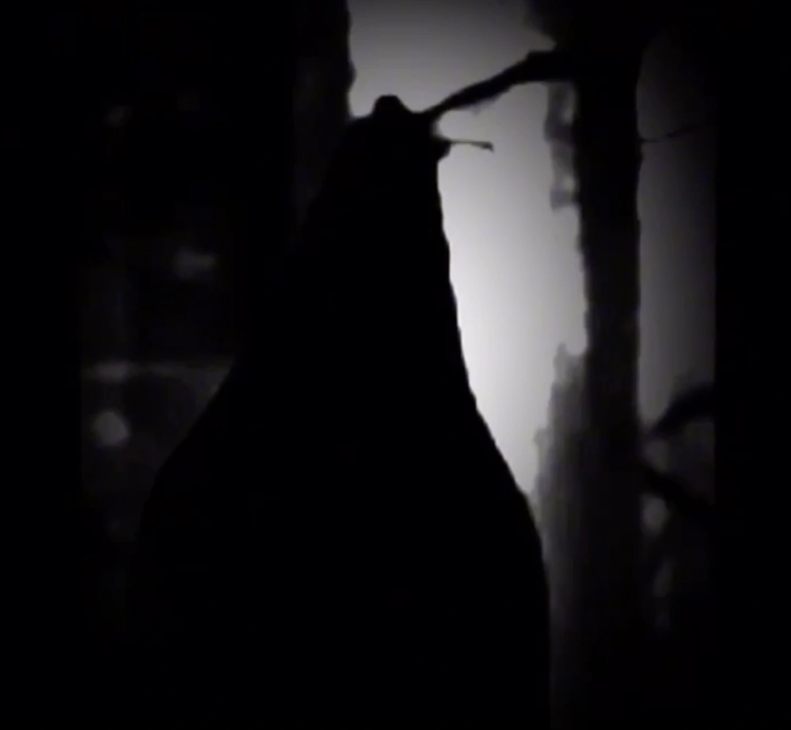 Discuss Everything About The Uncanny Incredible Wiki | Fandom