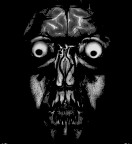 Phase 239 (HappyAndJoyous1)/Scrapped Phase 113 (The CJ Planets) | The ...