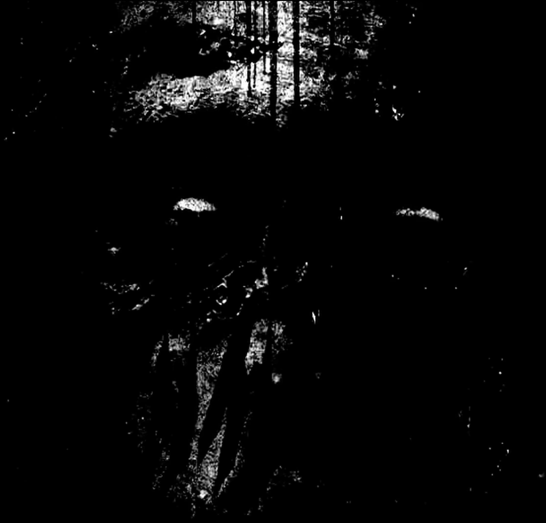 Phase 222 (CYFAN5047) | The Uncanny Incredible Wiki | Fandom