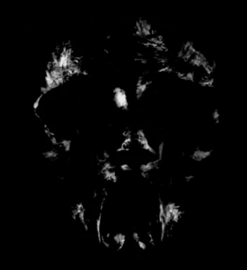 Phase 113 (The CJ Planets) | The Uncanny Incredible Wiki | Fandom