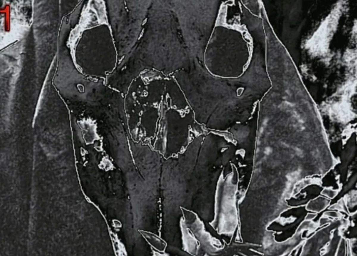 Phase 601 (Stist) | The Uncanny Incredible Wiki | Fandom