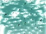 Phase 183 (The CJ Planets) | The Uncanny Incredible Wiki | Fandom