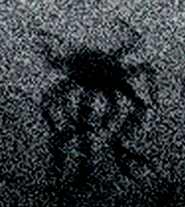 Phase 219 (MIBU 250 Phases) | The Uncanny Incredible Wiki | Fandom