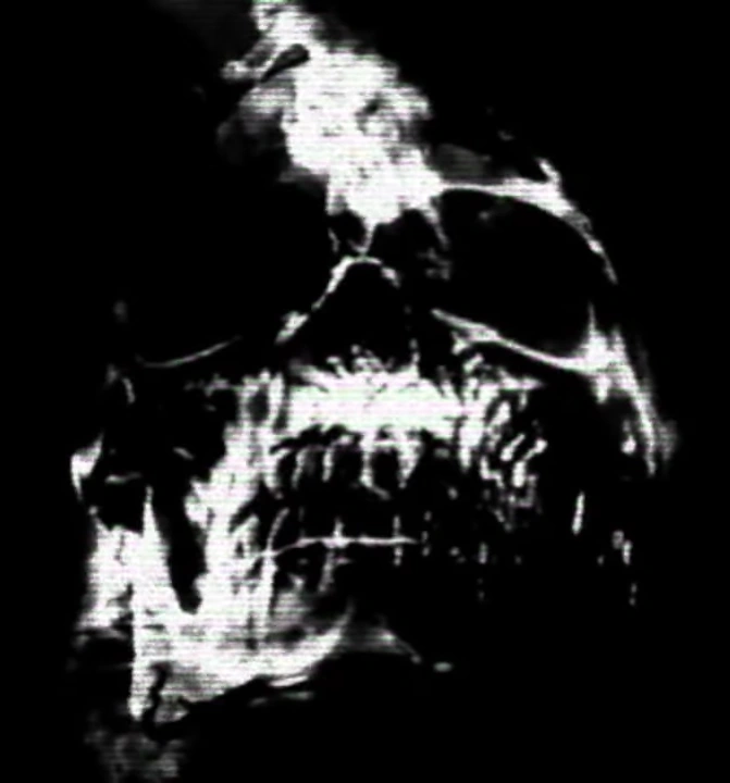 Phase 204 (VOID MEME 2024) | The Uncanny Incredible Wiki | Fandom