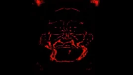 Mr. Incorruptable (AuthSauth) | The Uncanny Incredible Wiki | Fandom
