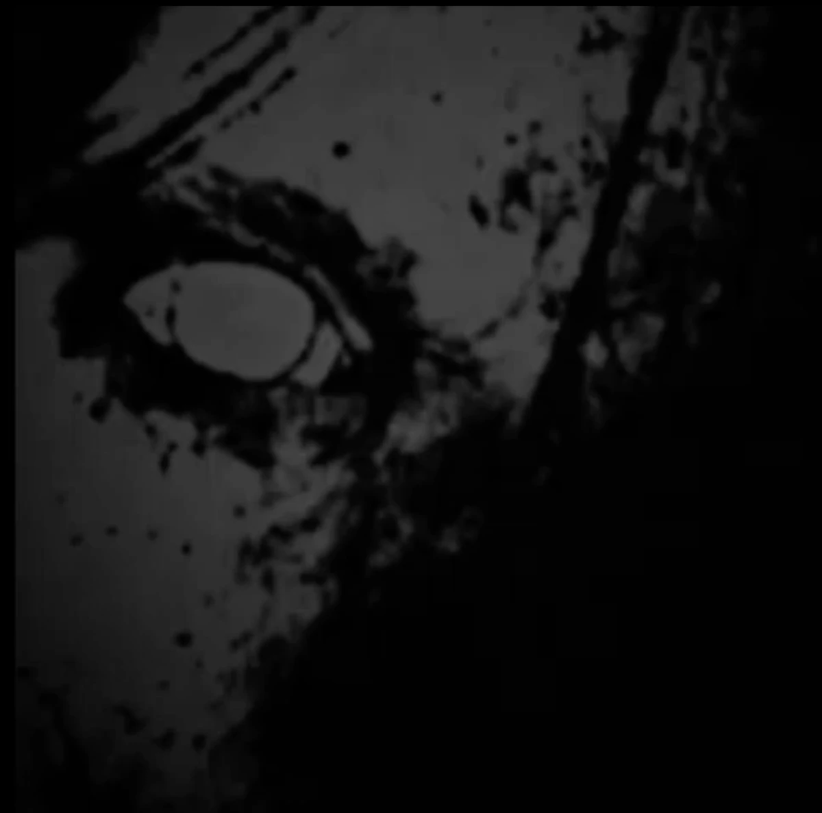 Phase 942 (TIPMVM1632) | The Uncanny Incredible Wiki | Fandom