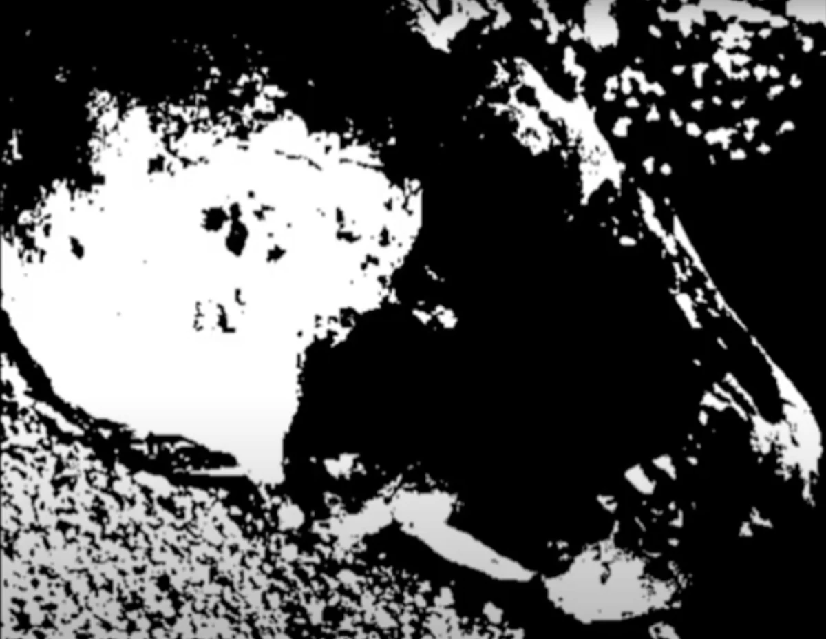 Phase 356 (Gatozerounvalley) | The Uncanny Incredible Wiki | Fandom