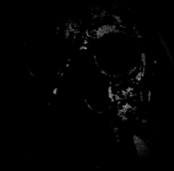 Phase 189 (Old)/Phase 195 (New) (Gold XD) | The Uncanny Incredible Wiki ...