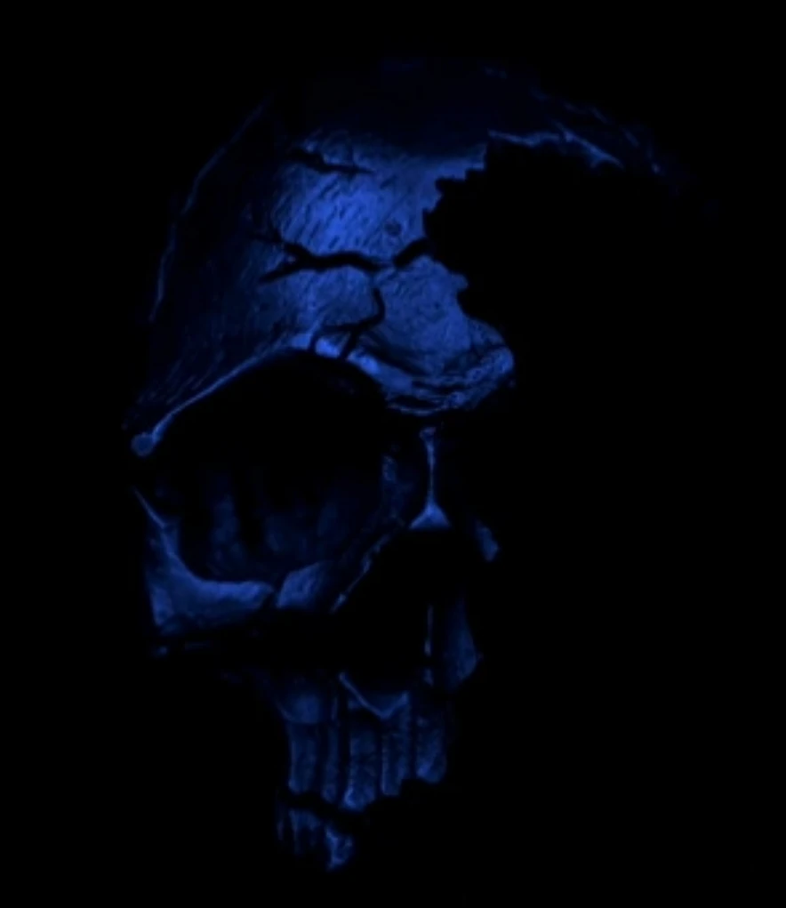 Phase 550 (Cool Yakko Warner) | The Uncanny Incredible Wiki | Fandom