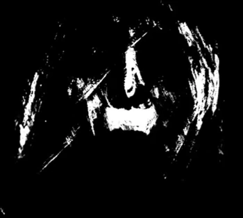 Phase 25 (Phoenix) | The Uncanny Incredible Wiki | Fandom