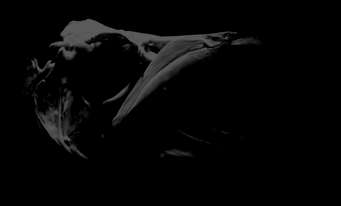 Phase 211 (MIBU 250 Phases) | The Uncanny Incredible Wiki | Fandom