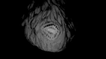 Phase 218 (MIBU 250 Phases) | The Uncanny Incredible Wiki | Fandom