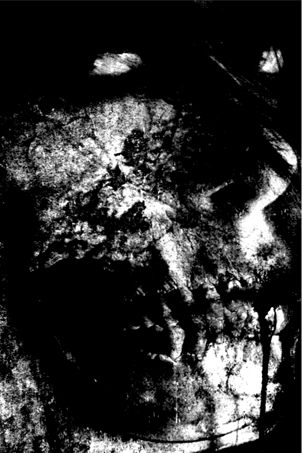 Phase 211000 (The Real Devon) | The Uncanny Incredible Wiki | Fandom