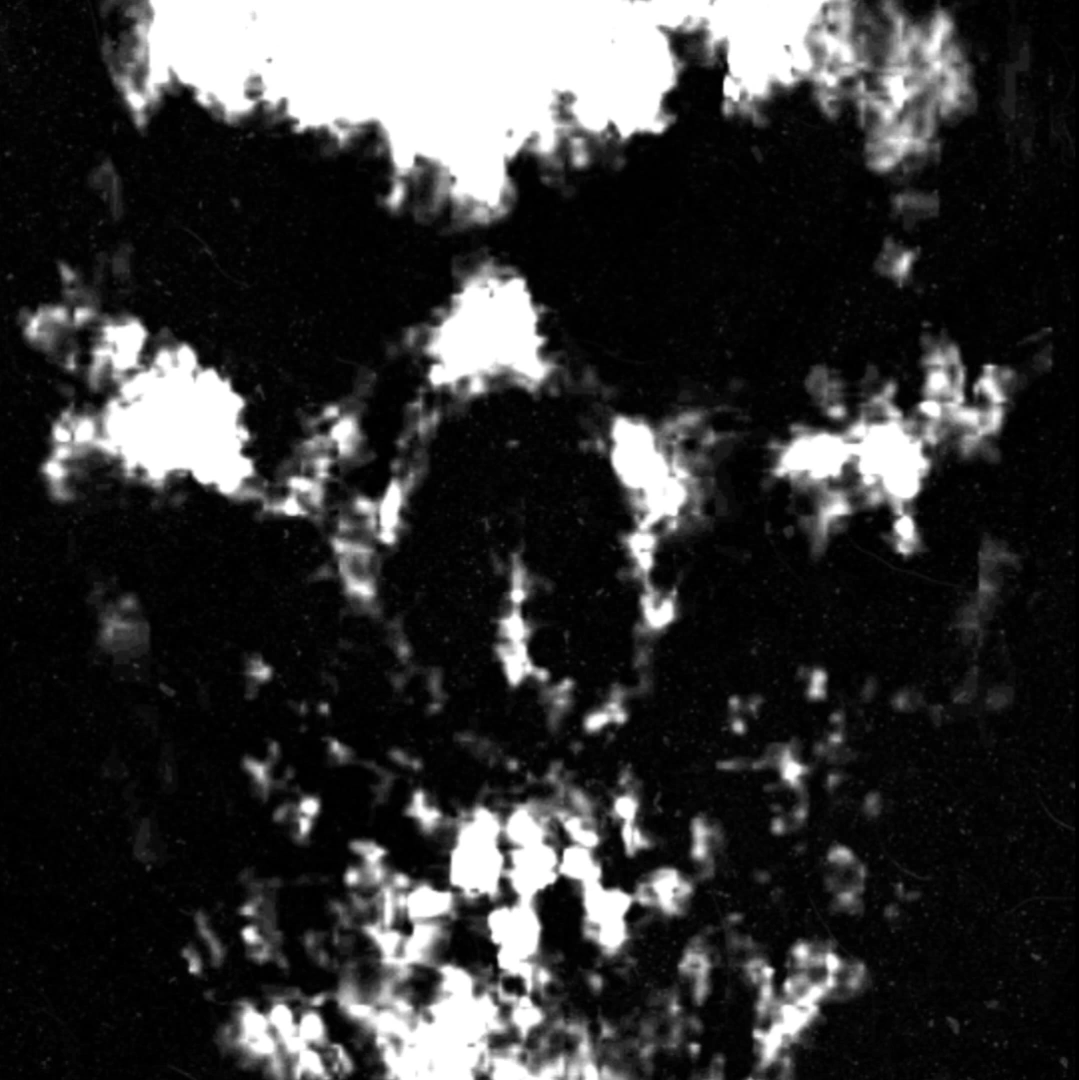 Phase 900 (OG) (Verstörend Studios) | The Uncanny Incredible Wiki | Fandom