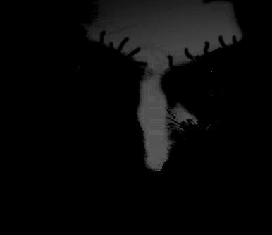 Phase 175 (MIBU 250 Phases) | The Uncanny Incredible Wiki | Fandom