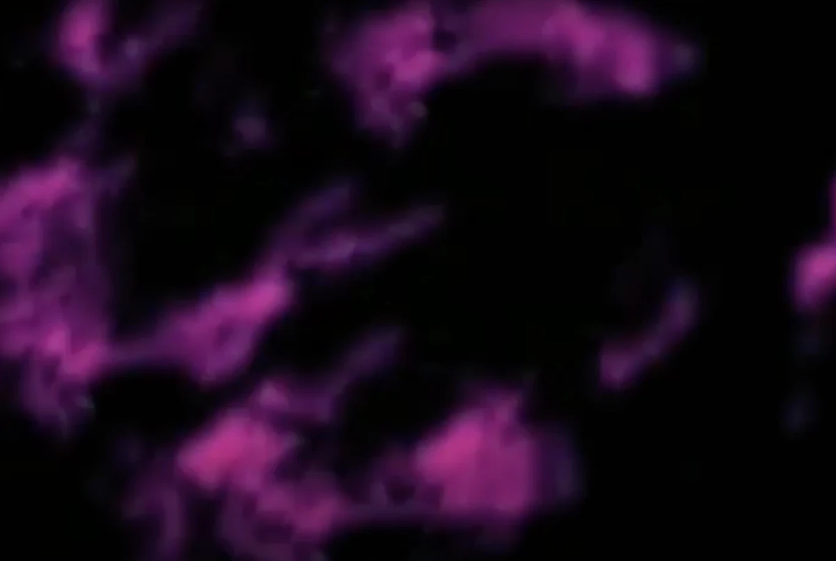 Phase 394 (Gatozerounvalley/Mr. Incredible Becoming Unacnny 500 Phases ...