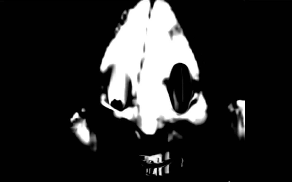 Phase 159 (The CJ Planets)/Gallery | The Uncanny Incredible Wiki | Fandom