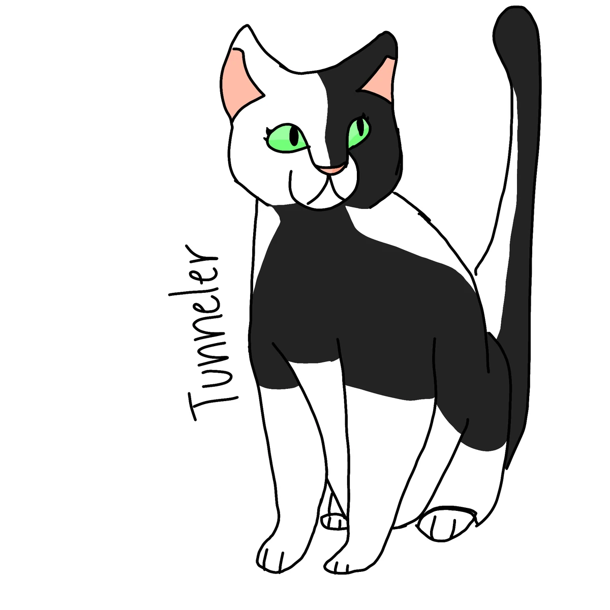 Echo | THE UNDERGROUND Wiki | Fandom