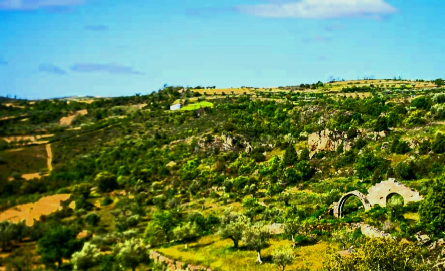 Andar -1: Terras Esquecidas | The Underlands Wiki | Fandom