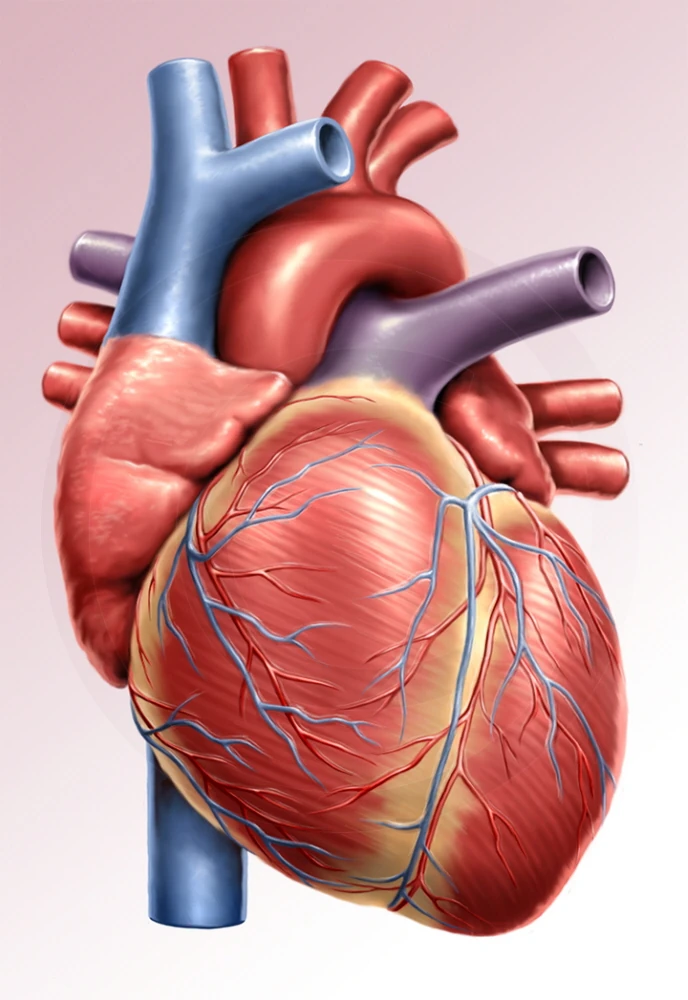 Level 3000: The Core | The Underverse Wiki | Fandom
