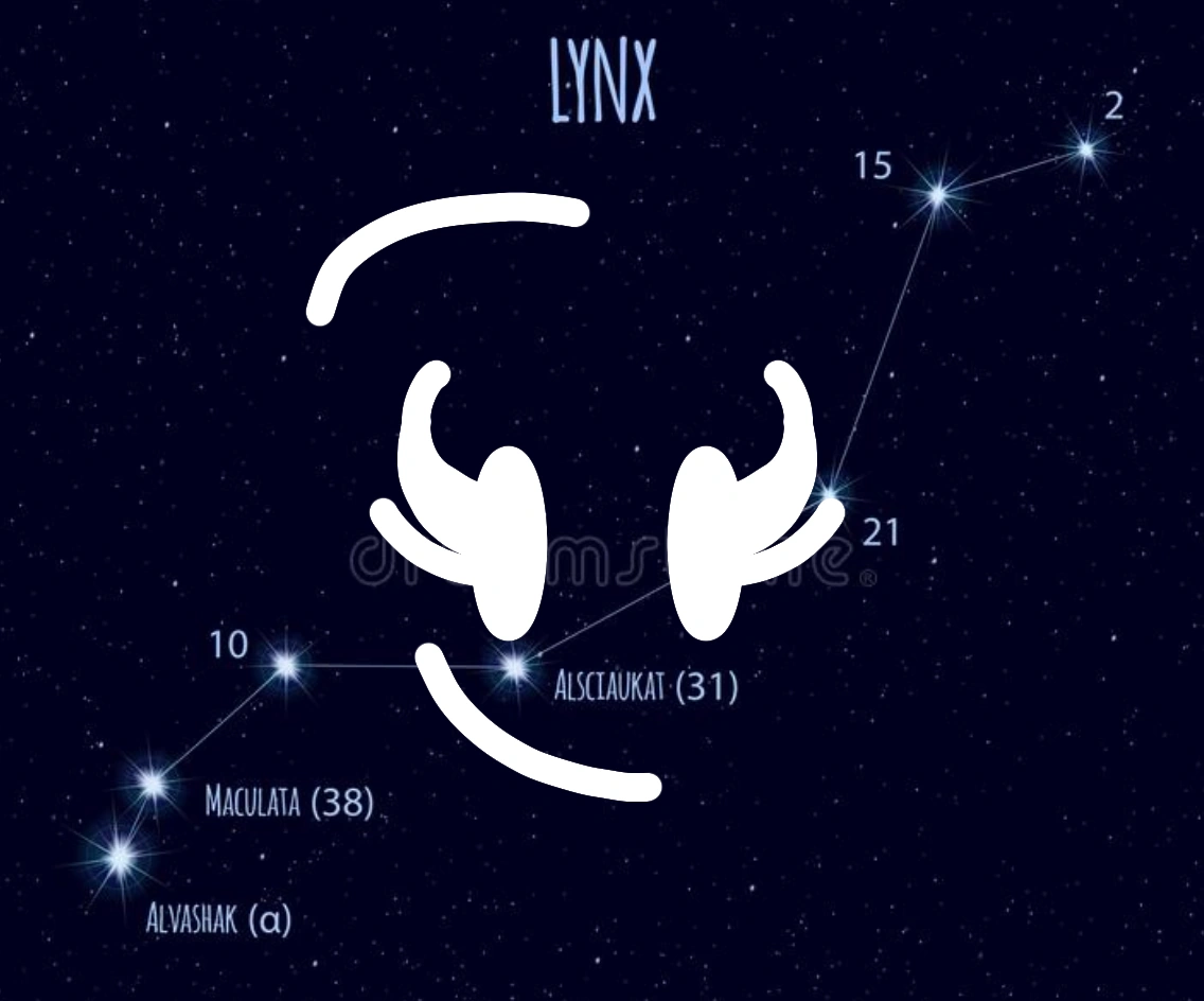 Lynx | The Universe of The Universe Wiki | Fandom