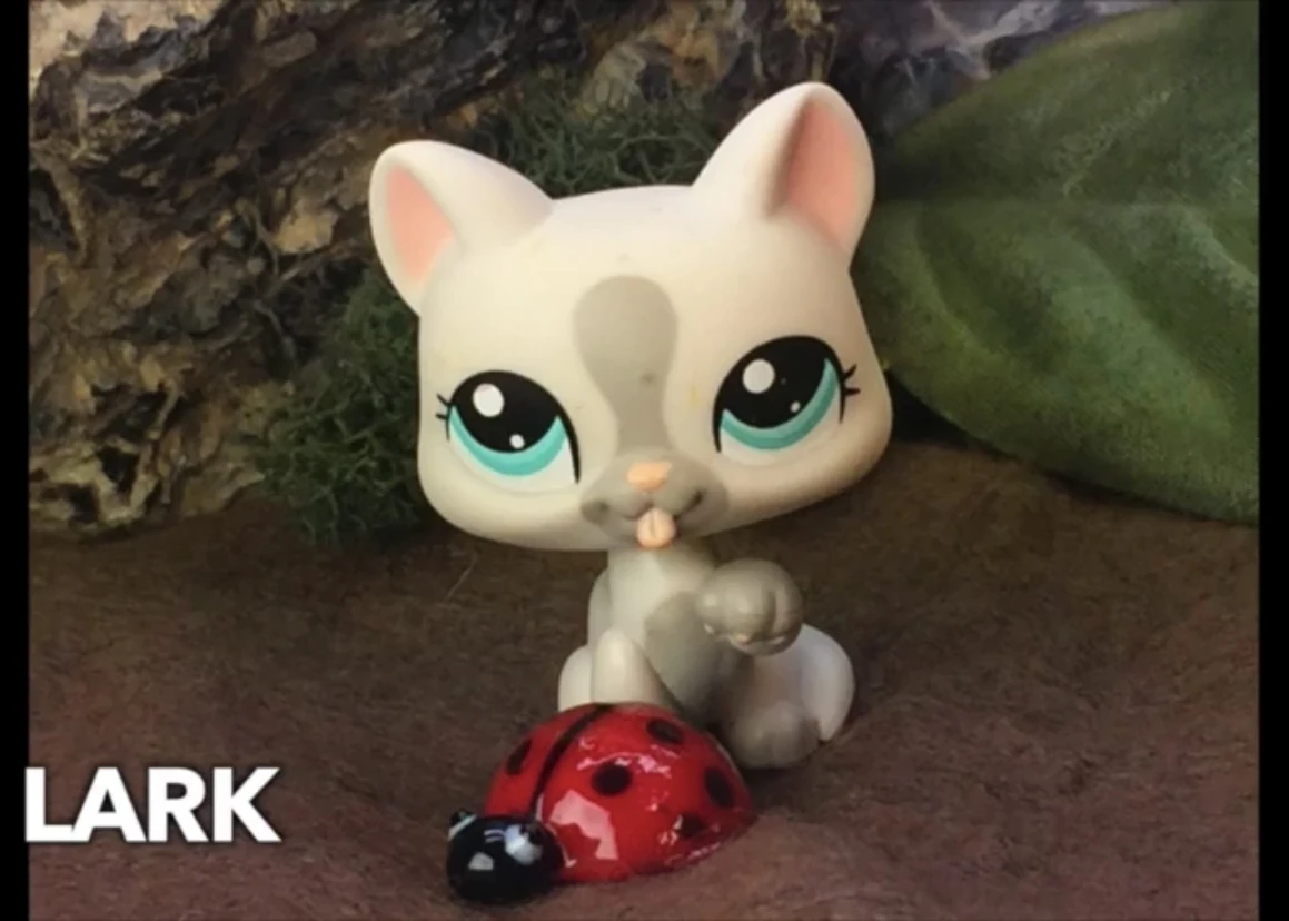 Lark | The Unknown Flame Wikia | Fandom