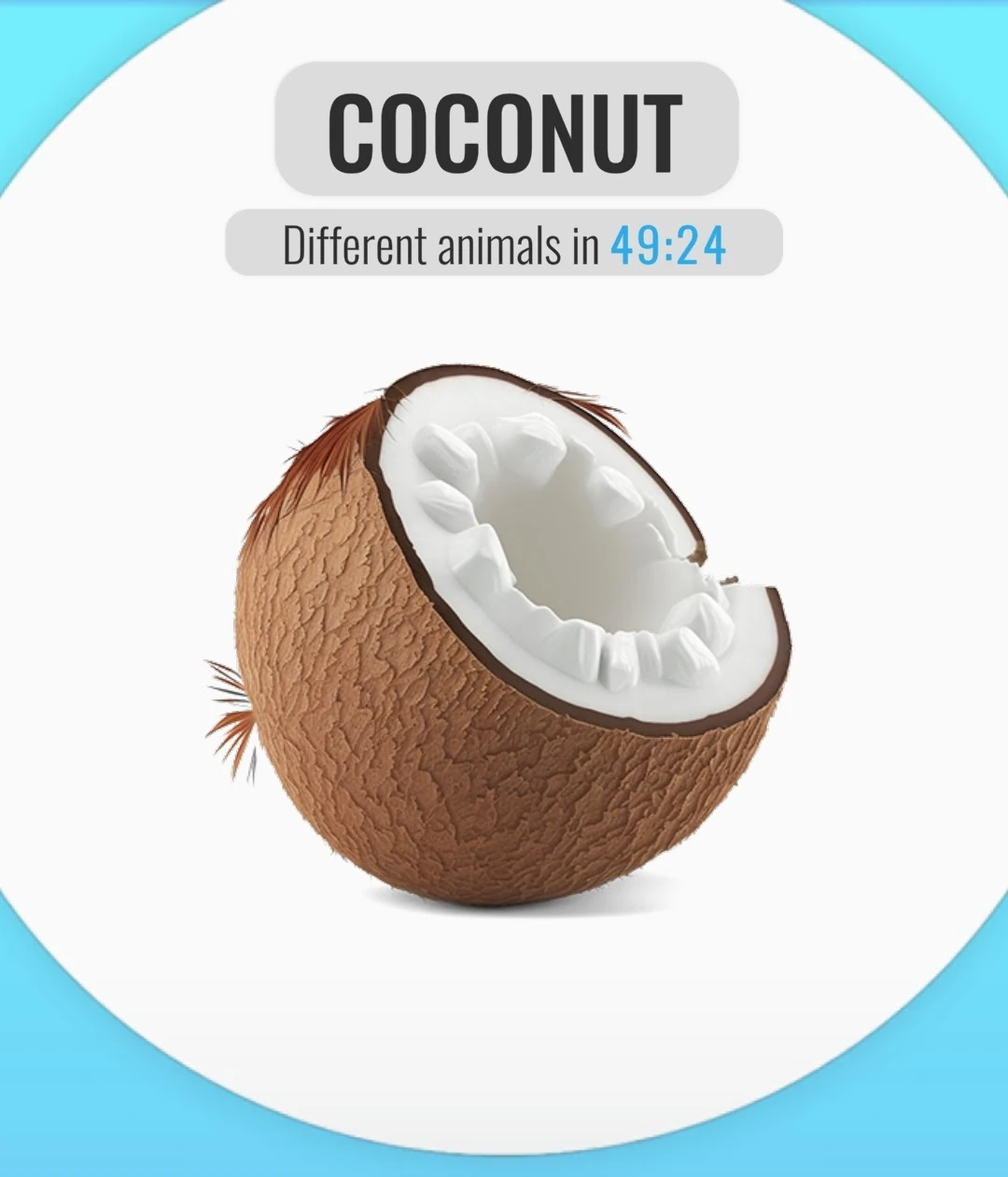 Category:Coconut | The Unofficial Animash Wiki | Fandom