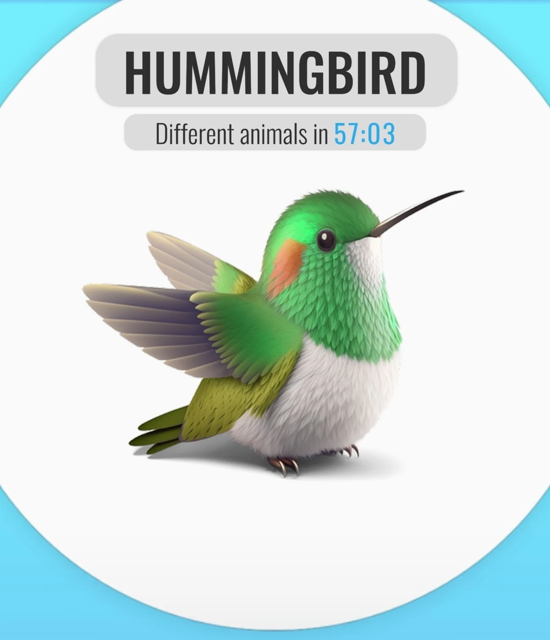 Category:Hummingbird | The Unofficial Animash Wiki | Fandom