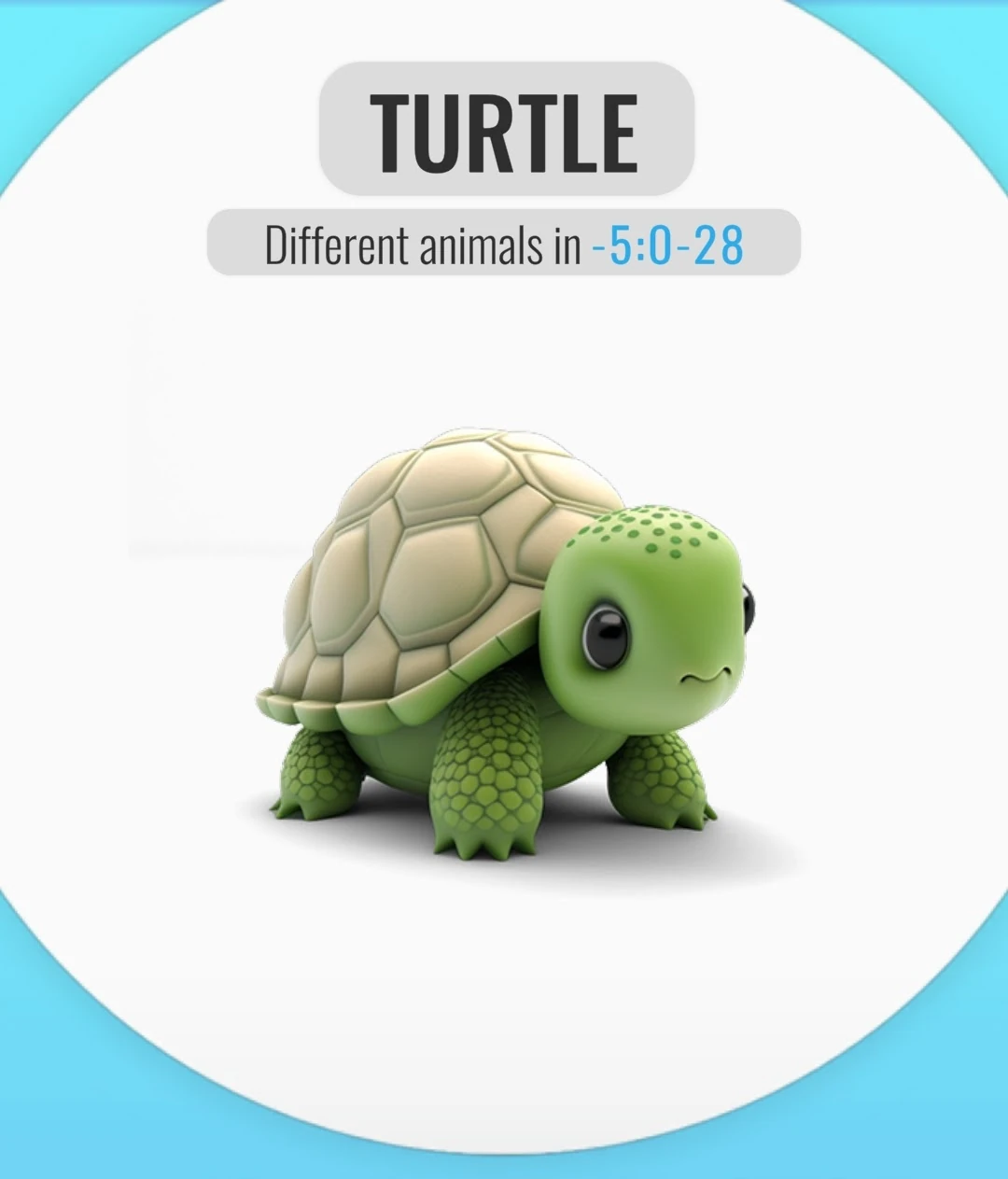 Category:Turtle | The Unofficial Animash Wiki | Fandom