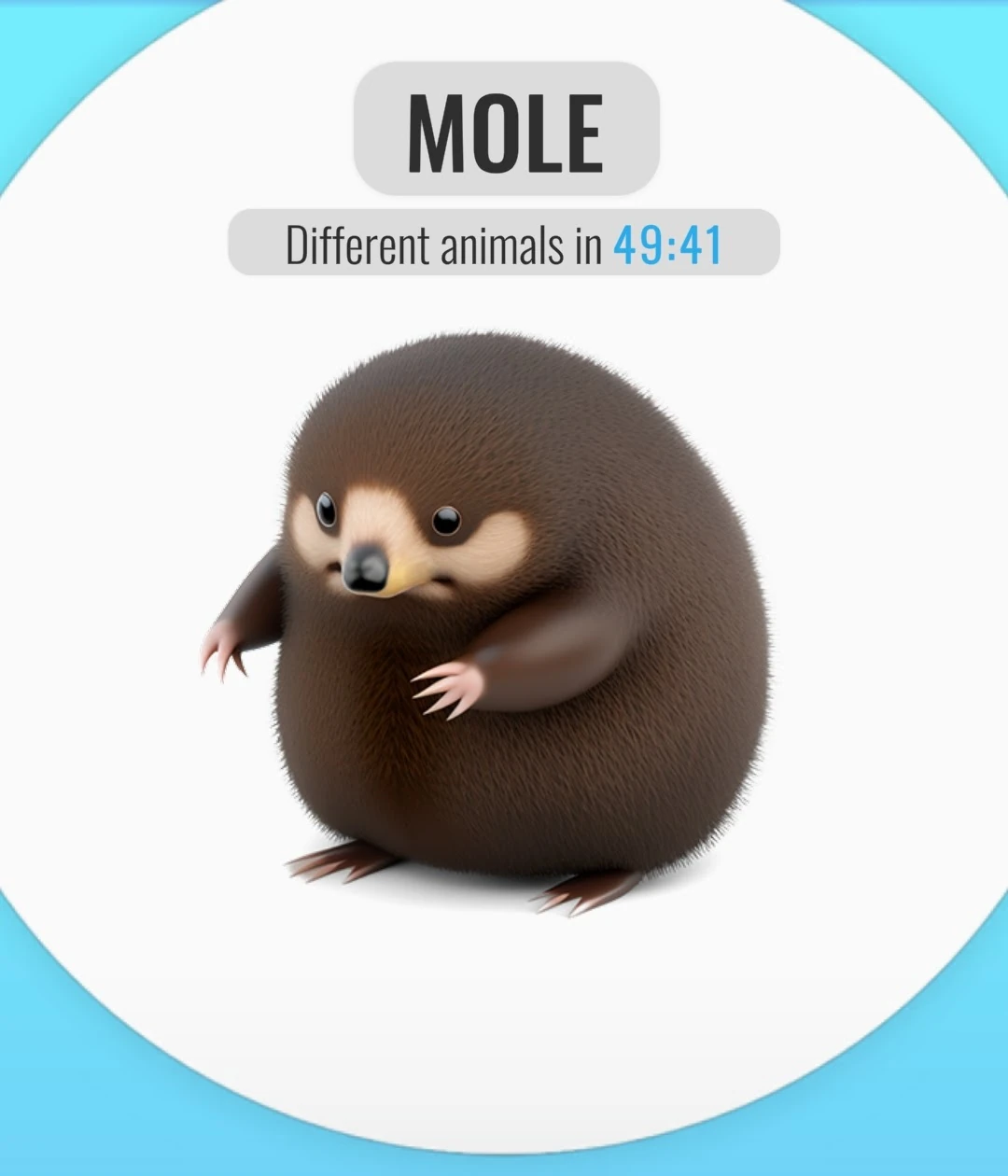 Mole | The Unofficial Animash Wiki | Fandom
