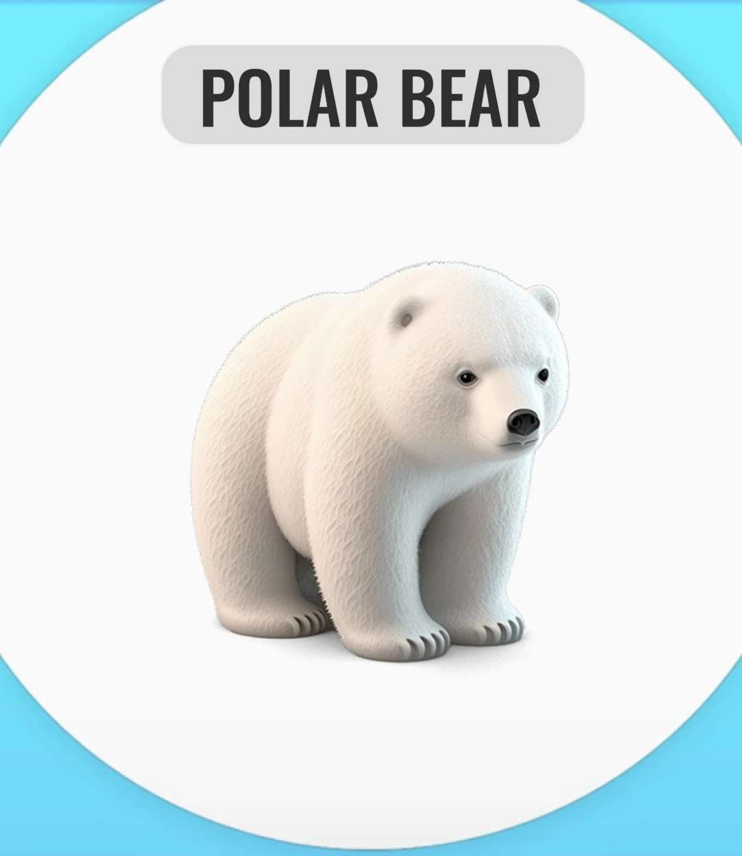 Category:Polar Bear | The Unofficial Animash Wiki | Fandom