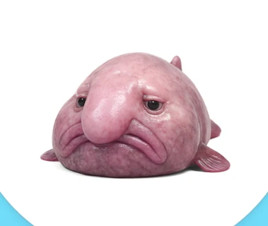 Blobfish | The Unofficial Animash Wiki | Fandom