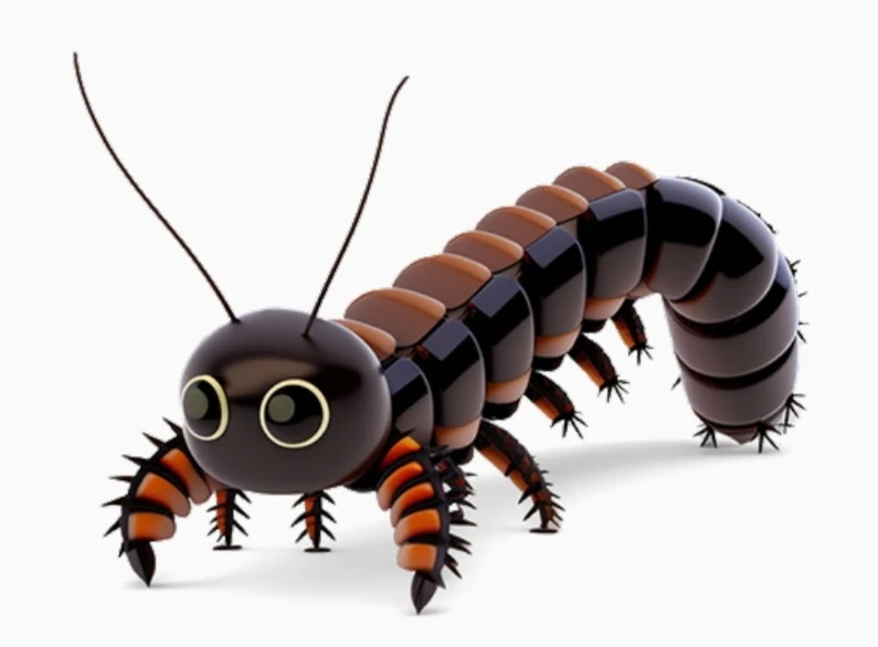 Millipede | The Unofficial Animash Wiki | Fandom