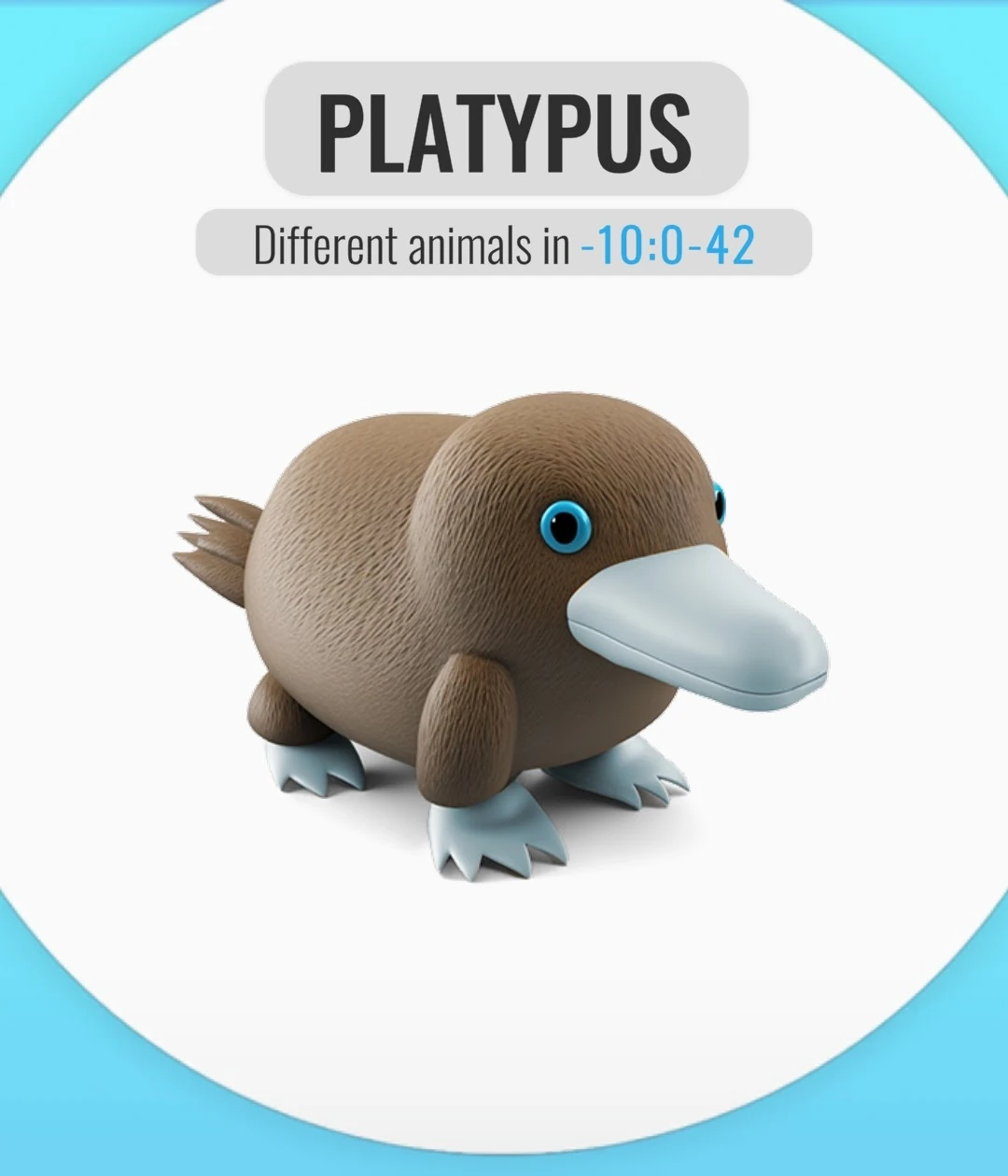 Platypus | The Unofficial Animash Wiki | Fandom