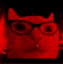 The UNOFFICIAL KittyLand Wiki | Fandom