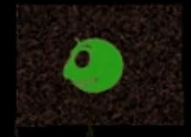 Baldi | The unofficial Outcome Memories Wiki | Fandom