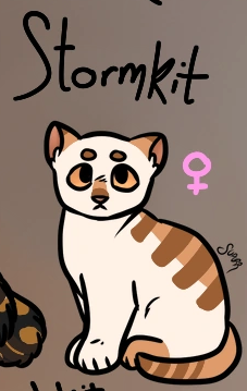 Stormkit | The Upbringing Wiki | Fandom