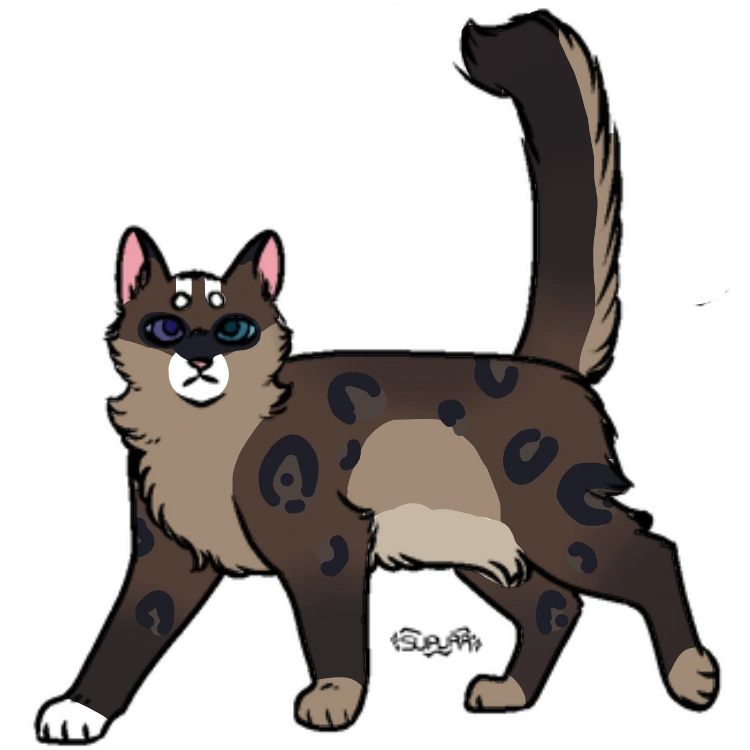 Cloud | The Upbringing Wiki | Fandom