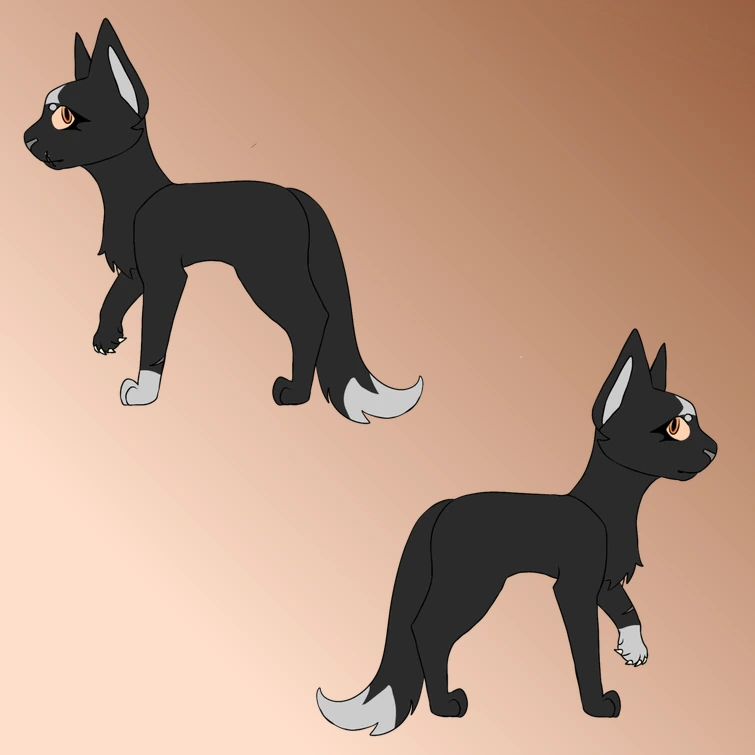 Widow | The Upbringing Wiki | Fandom